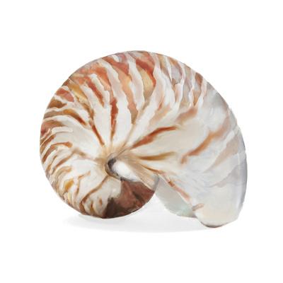 'Simple Shell - Mollusk' Giclee Print - Tania Bello | Art.com