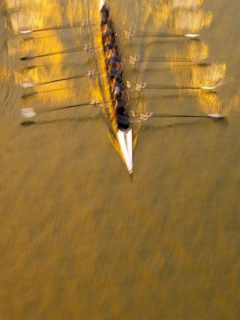 Crew Rowing, Seattle, Washington, USA Photographic Print - Terry Eggers ...