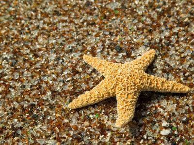 'Glass Beach with Star Fish, Kauai, Hawaii, USA' Photographic Print ...