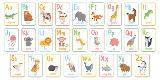 'Alphabet Cards for Kids. Educational Preschool Learning ABC Card with ...