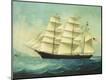 'The American Clipper Tewksburylsweat, c.1850' Giclee Print | Art.com