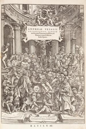 The Author Conducting an Anatomical Dissection in a Surgical Theatre ...