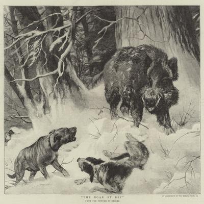 Dogs With Hog Drawings