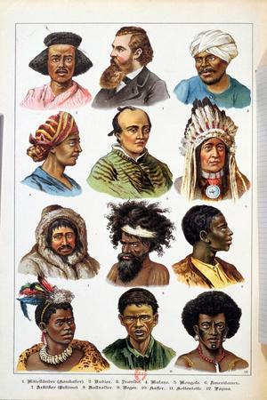 'The Different Human Races, from "Natural History of the Animal Kingdom ...
