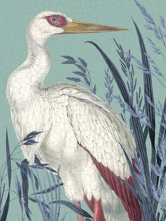 Coastal Paradise - Stork Giclee Print - The Drammis Collection | Art.com
