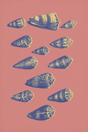 Colour Block Shells - Coral Giclee Print - The Drammis Collection | Art.com