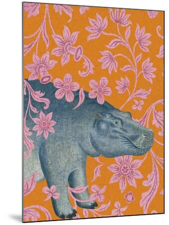 Wild Wonderland - Hippo Mounted Giclee Print - The Drammis Collection ...