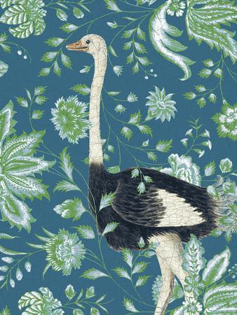 'Wild Wonderland - Ostrich' Giclee Print - The Drammis Collection | Art.com