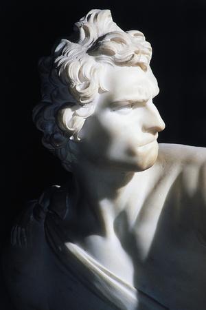 The Face of David, 1623-1624 Giclee Print | Art.com