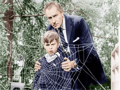 'The Fly, Charles Herbert, Vincent Price, 1958' Photo | Art.com