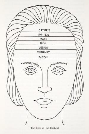 'The Lines of the Forehead' Giclee Print | Art.com