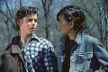 'THE OUTSIDERS, 1982 directed by FRANCIS FORD COPPOLA Thomas C. Howell ...