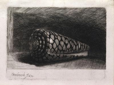 'The Shell' Giclee Print - Rembrandt van Rijn | Art.com