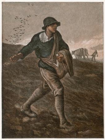 'The Sower' Art Print | Art.com