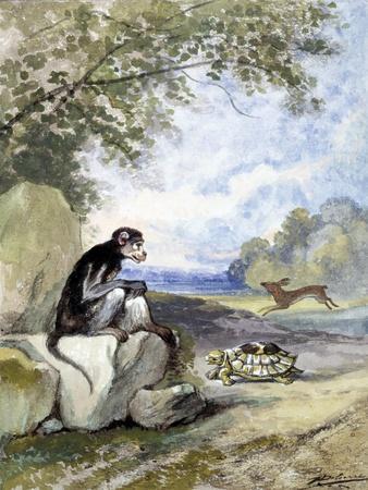 The Tortoise and the Hare (La Fontaine's Fable) - by Auguste Del Giclee ...