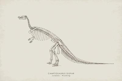 'Camptosaurus' Giclee Print - The Vintage Collection | Art.com
