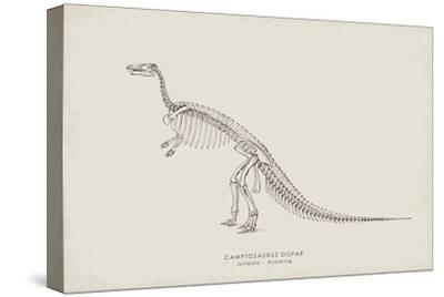 Camptosaurus Stretched Canvas Print - The Vintage Collection | Art.com