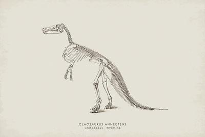 'Claosaurus' Giclee Print - The Vintage Collection | Art.com