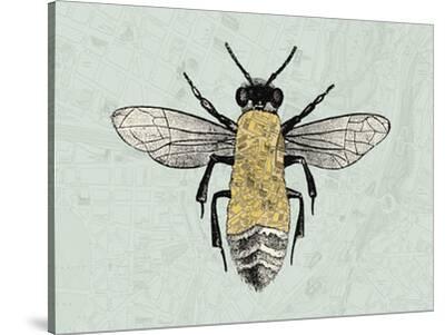 'Creature Cartography I' Stretched Canvas Print - The Vintage ...
