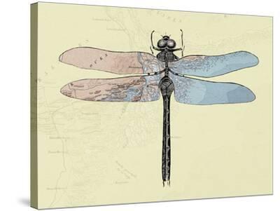 'Creature Cartography III' Stretched Canvas Print - The Vintage ...