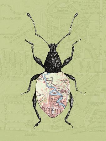 'Creature Cartography VI' Giclee Print - The Vintage Collection | Art.com