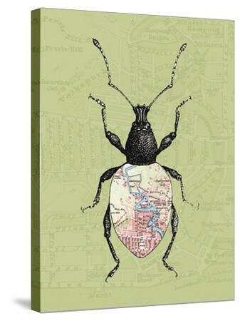 'Creature Cartography VI' Stretched Canvas Print - The Vintage ...