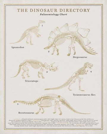 Dinosaur Directory Giclee Print - The Vintage Collection | Art.com