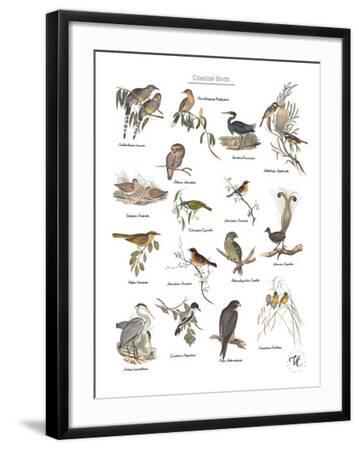 Discovery Charts - Coastal Framed Giclee Print - The Vintage Collection ...