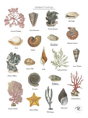 'Discovery Charts - Seabed' Giclee Print - The Vintage Collection | Art.com