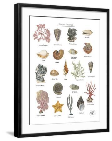 Discovery Charts - Seabed Framed Giclee Print - The Vintage Collection ...
