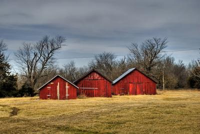 'Three Barns, Kansas, USA' Photographic Print - Michael Scheufler | Art.com