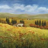 'Villa in the Vinyards of Tuscany' Giclee Print - Tim Howe | Art.com