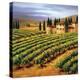 'Villa in the Vinyards of Tuscany' Giclee Print - Tim Howe | Art.com