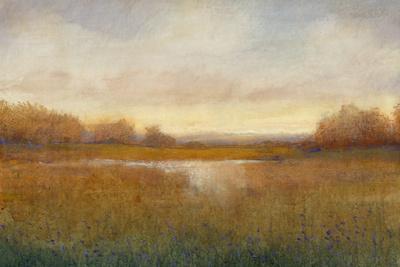 'Golden Hour II' Art Print - Tim O'toole | Art.com