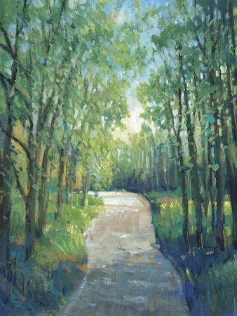 'Golden Light Pathways I' Art Print - Tim O'Toole | Art.com