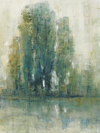 'Spring Paysage I' Art Print - Tim O'Toole | Art.com