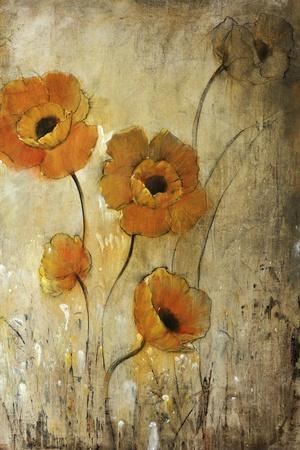 'Warm Beauty' Giclee Print - Tim O'toole | Art.com