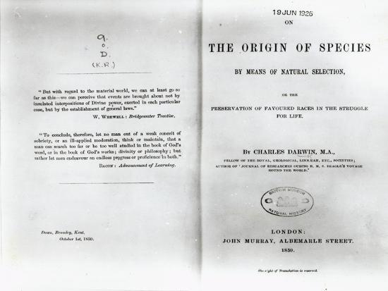 Titlepage To On The Origin Of Species By Charles Darwin Published In 1859 Giclee Print