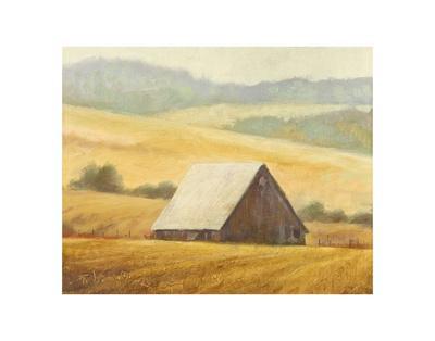 'Mill Creek Barn' Art Print - Todd Telander | Art.com