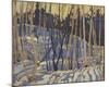 'Snow Shadows' Giclee Print - Tom Thomson | Art.com