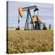 'Oil Pump In a Wheat Field' Photographic Print - Tony Craddock | Art.com