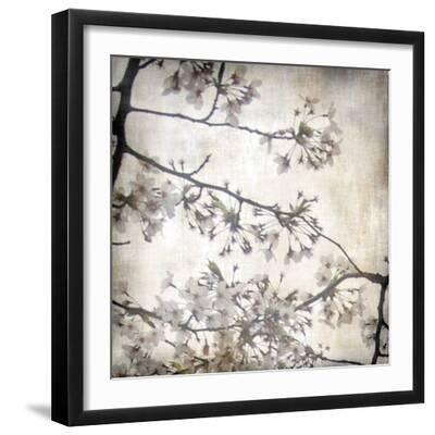 'Cherry Blossom Tree VI' Framed Giclee Print - Tony Koukos | Art.com