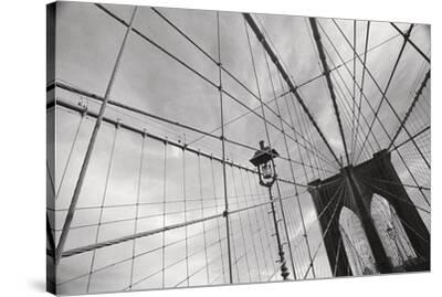 Looking Up Stretched Canvas Print - Tony Koukos | Art.com