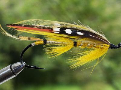 'Traditional Salmon Fishing Fly, UK' Photographic Print - John ...