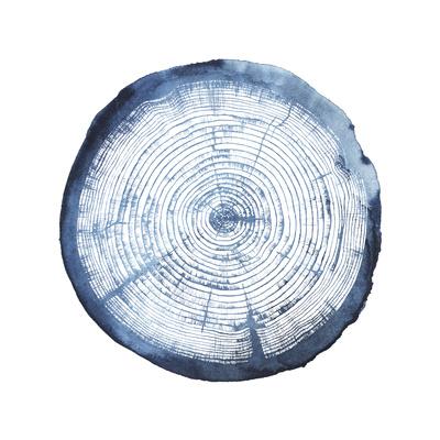 'Tree Ring Overlay I' Art Print - Grace Popp | Art.com