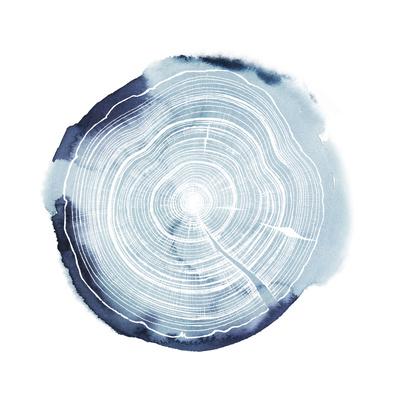 'Tree Ring Overlay III' Art Print - Grace Popp | Art.com