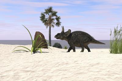 'Triceratops Walking Along a Prehistoric Beach Landscape' Art Print ...