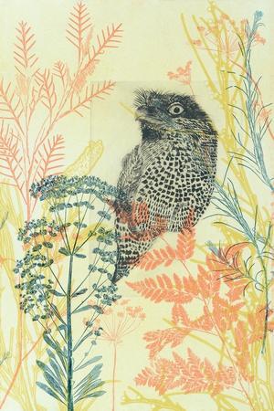 'Friendly Tawny Frog' Art Print - Trudy Rice | Art.com