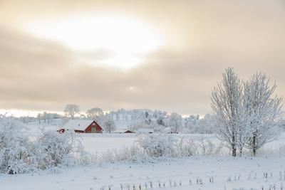'Farm Barn in a Cold Winter Landscape with Snow and Frost' Photographic ...