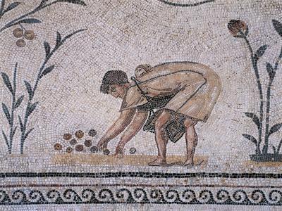 Tunisia, La Chebba, Mosaic Depicting Boy Picking Fruit, from Triumph of ...